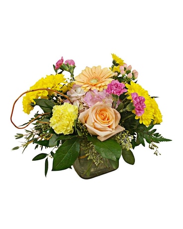 Spring Fling in Indianapolis IN - Steve's Flowers and Gifts