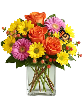 Anderson Flower Shop - Florist Anderson IN