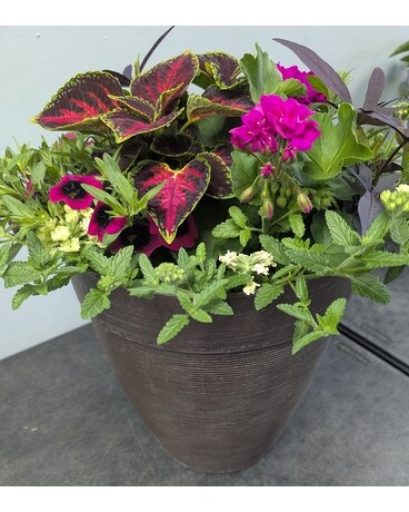 12" Outdoor Porch Pot in Amelia OH - Amelia Florist Wine & Gift Shop