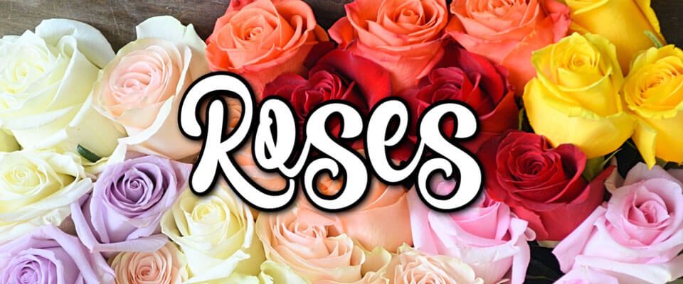 Martina's Flowers and Gifts | Florist of Augusta & Evans, GA