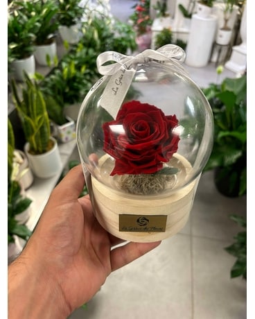 Laval Florist - Flower Delivery by La Grace des Fleurs