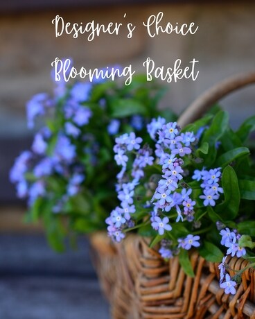 Designer's Choice- Blooming Garden in Houston TX - Village Greenery ...