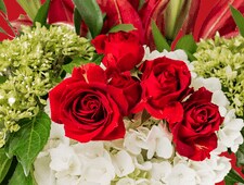 Exeter Florist - Flower Delivery in Exeter