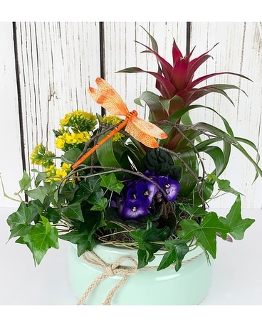 Baltimore Florist - Same-Day Flower Delivery by Raimondi's Flowers