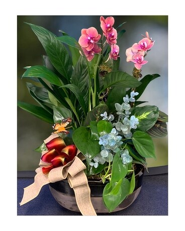 Baltimore Florist - Same-Day Flower Delivery by Raimondi's Flowers