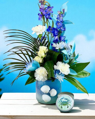 Seashell Tides in Owings Mills area - Raimondi's Florist