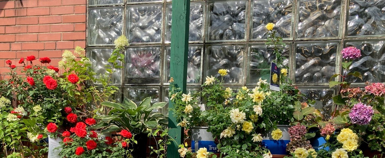 Erie Florist - Flower Delivery by Allburn Florist