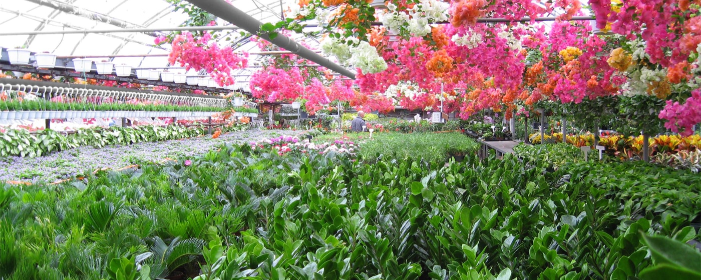 Cornwall Florist - Flower Delivery by Flowers Cornwall Inc