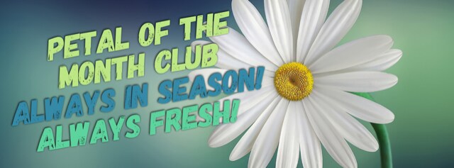 Ammon Florist - Flower Delivery by Petal Passion