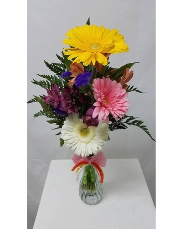 Gerbera Bud vase in Southampton PA - Domenic Graziano Flowers