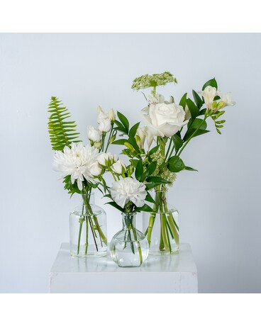 Signature Garden Style Bud Vases in West Seneca NY - William's Florist ...