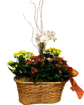 Garner Florist - Flower Delivery by Forest Hills Florist