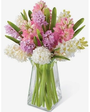 Richmond Florist - Flower Delivery by Sally Florist Richmond