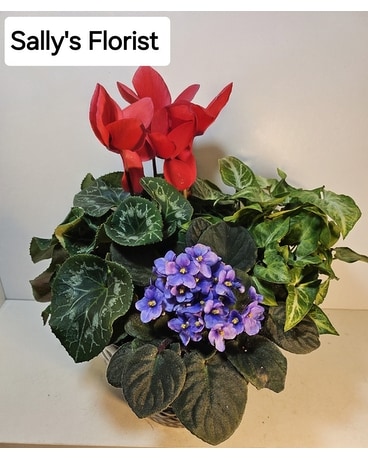 Mission Florist - Flower Delivery by Sally Florist Mission