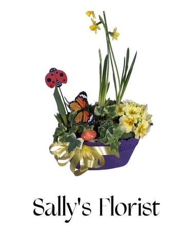 Sally's Spring Designer PICK plants 2025 in New Westminster BC - Sally ...