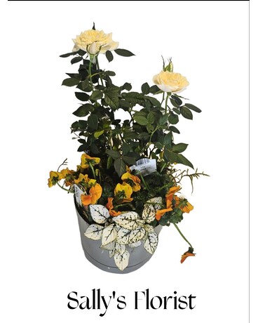 Sally's Spring Starter DESIGNER PICK 2025 in Delta BC - Sally Florist Delta