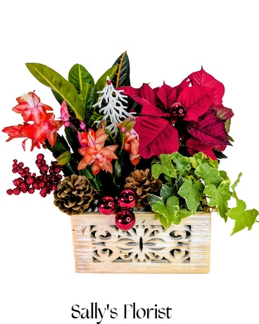 Sally's Crimson Christmas Arrangement in Vancouver BC - Sally Florist ...