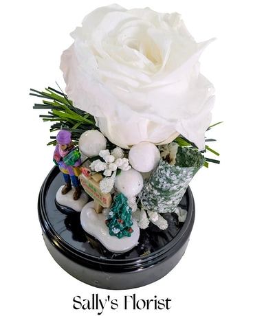 Sally's Preserved Rose - Christmas White 2025 in Mission BC - Sally ...