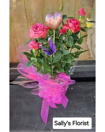Maple Ridge Florist - Flower Delivery by Sally Florist