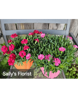 North Vancouver Florist - Flower Delivery by Sally Florist North Van