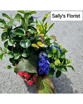 Mission Florist - Flower Delivery by Sally Florist Mission
