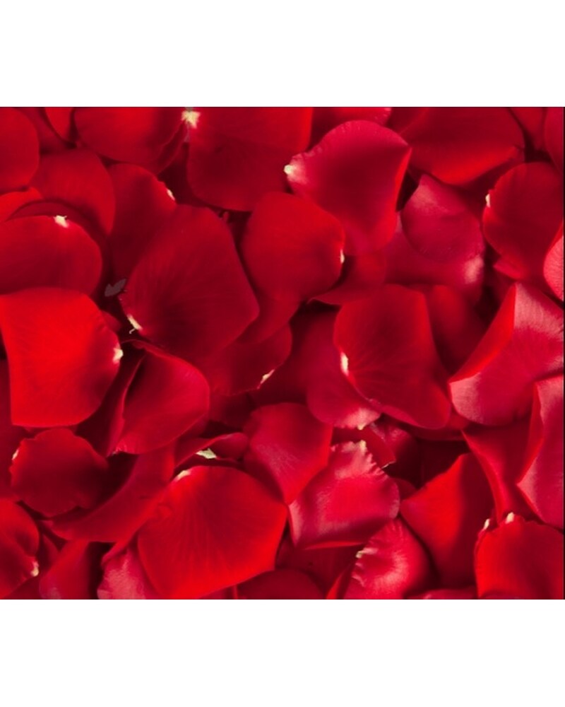 Red petals florist store