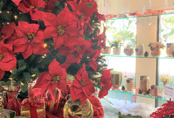 The Boca Raton Florist | Flower Shop Delivery in Boca Raton FL