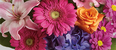 The Boca Raton Florist | 561-395-1943 | Flower Delivery Since 1943
