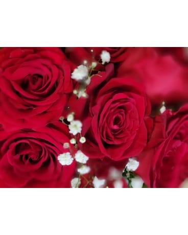 Edd-OHS1R - 1 Dozen Wrapped Red Roses in Ottumwa IA - Edd, The Florist, Inc
