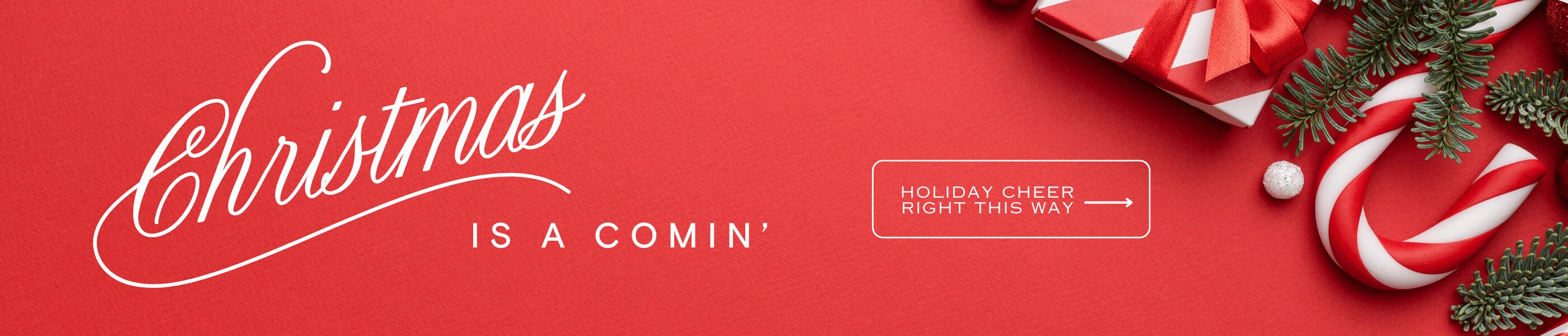 Las Vegas Florists - Flower Delivery Las Vegas By Flowers by Michelle