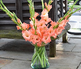 Oshkosh Florist - Flower Delivery by House of Flowers