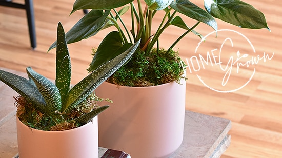 Oshkosh Florist - Flower Delivery by House of Flowers