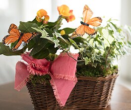 Oshkosh Florist - Flower Delivery by House of Flowers