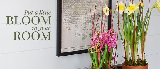 Oshkosh Florist - Flower Delivery by House of Flowers