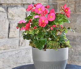 Oshkosh Florist - Flower Delivery by House of Flowers