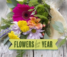 Oshkosh Florist - Flower Delivery by House of Flowers