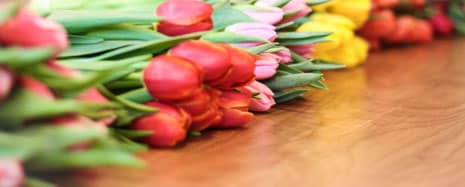 Oshkosh Florist - Flower Delivery by House of Flowers