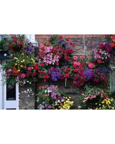 Lorain Florist - Flower Delivery by Zelek Flower Shop, Inc.