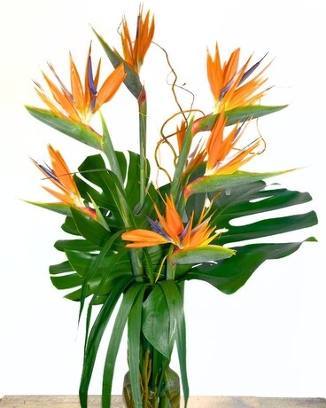 Birthday Flowers Delivery Longmont CO - Longmont Florist