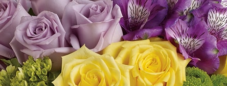 Santa Monica Florist - Edelweiss Flower Boutique Florist in Santa Monica