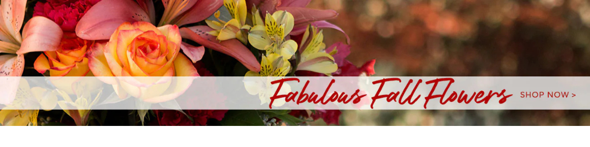 Circleville Florist - Flower Delivery by Wagner's Flowers