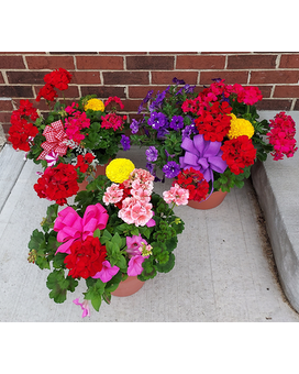 Circleville Florist - Flower Delivery by Wagner's Flowers