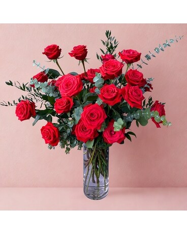 Two Dozen Bright Red Roses in Nashville TN - A Village of Flowers