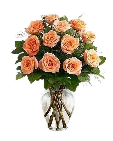 Roses Delivery Bradenton FL - Oneco Florist