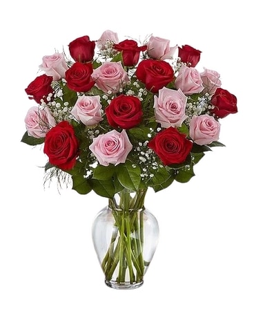 Roses Delivery Bradenton FL - Oneco Florist