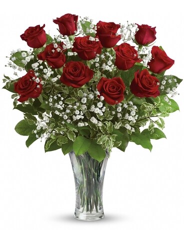 Romantic Red Roses Deluxe with Baby's Breath in Runnemede NJ - Cook's ...