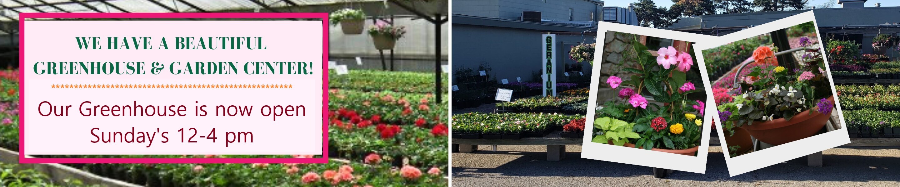 Oklahoma City Florist - Flower Delivery by Morrison Floral & Greenhouses