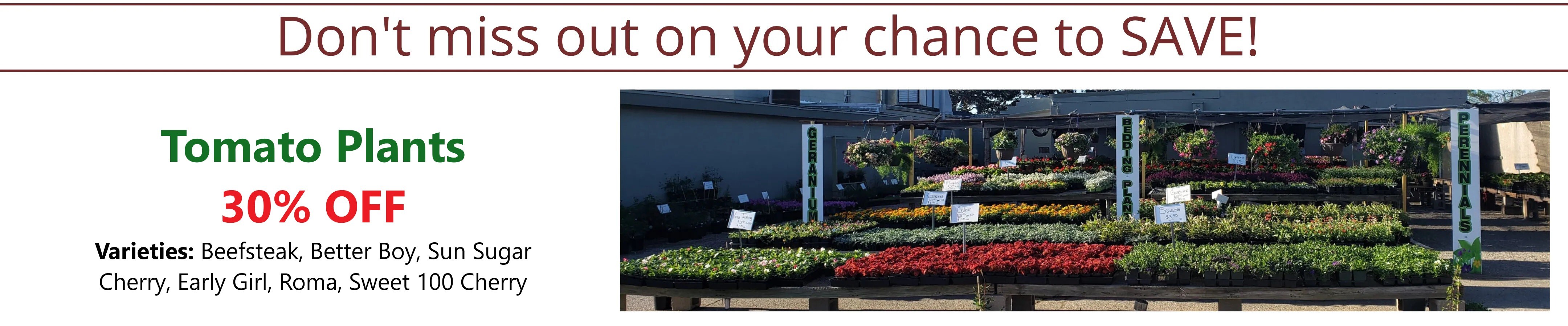 Oklahoma City Florist - Flower Delivery by Morrison Floral & Greenhouses