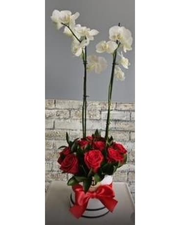 Birthday Flowers Delivery Orlando FL - Harry's Famous Flowers