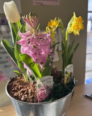 Orleans Florist - Flower Delivery by Flower Mania